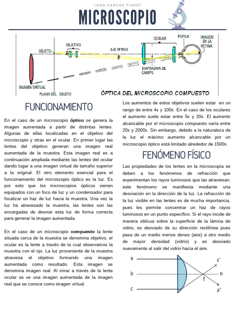 Tarea 1. Microscopio | PDF | Óptica | Fluorescencia