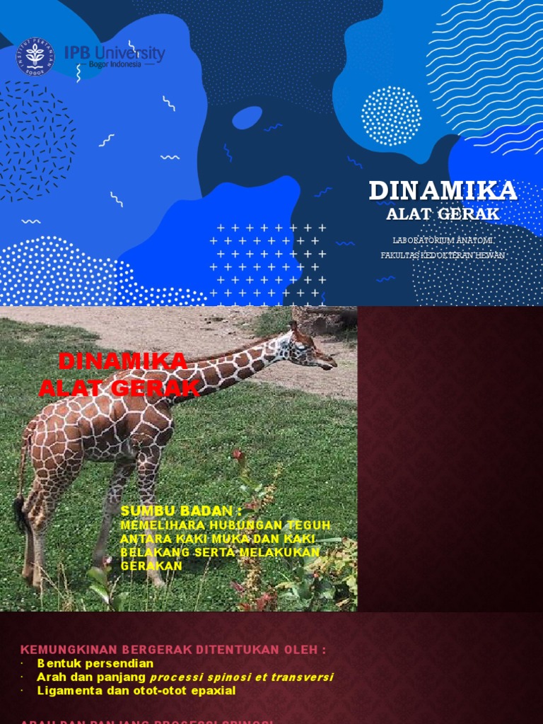 Dinamika Alat Gerak | PDF