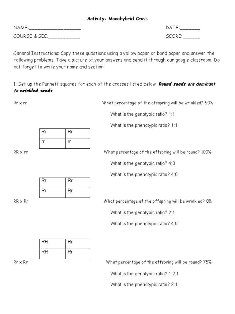 Monohybrid Cross Practice Worksheet | PDF | Zygosity | Genotype