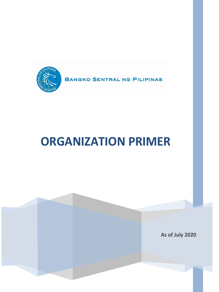 BSP Org Primer | PDF | Money Laundering | Banks
