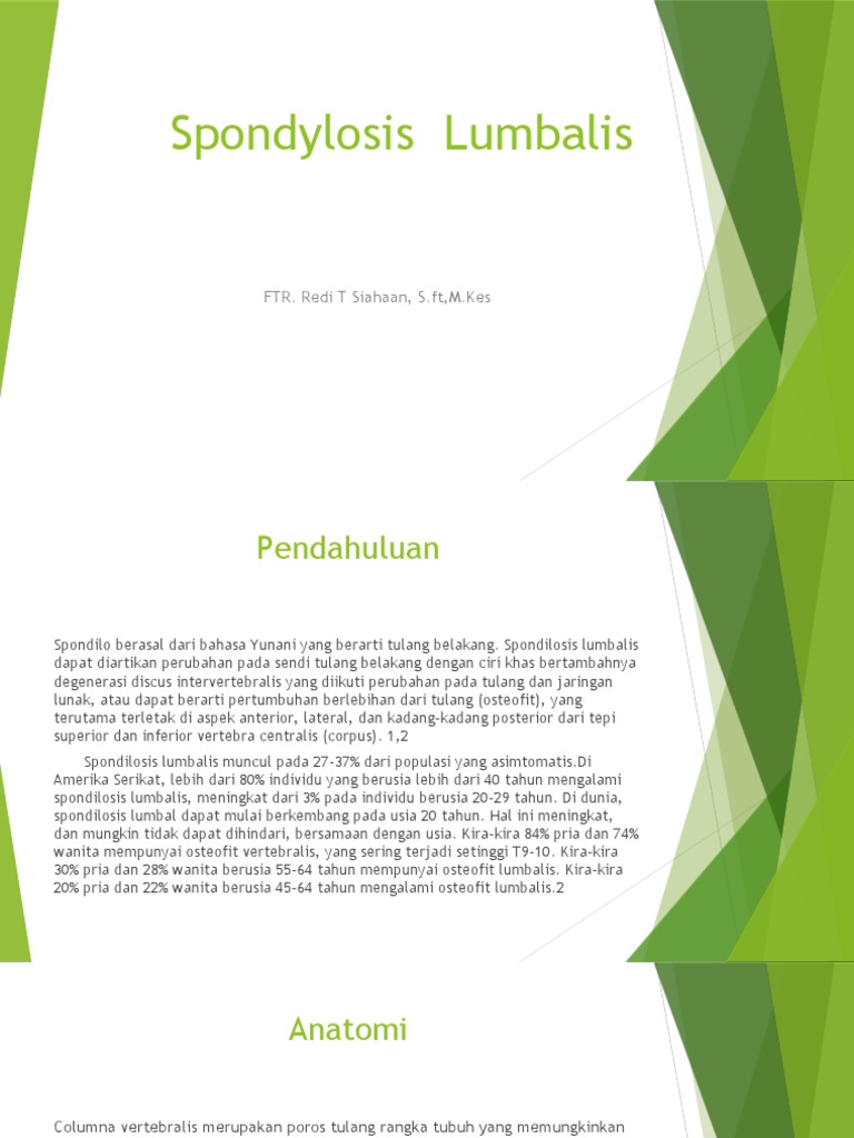 Spondylosis Lumbalis | PDF