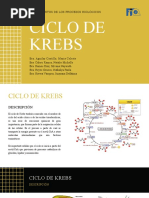 Tablas Cengel PDF | PDF | Temperatura | Gases