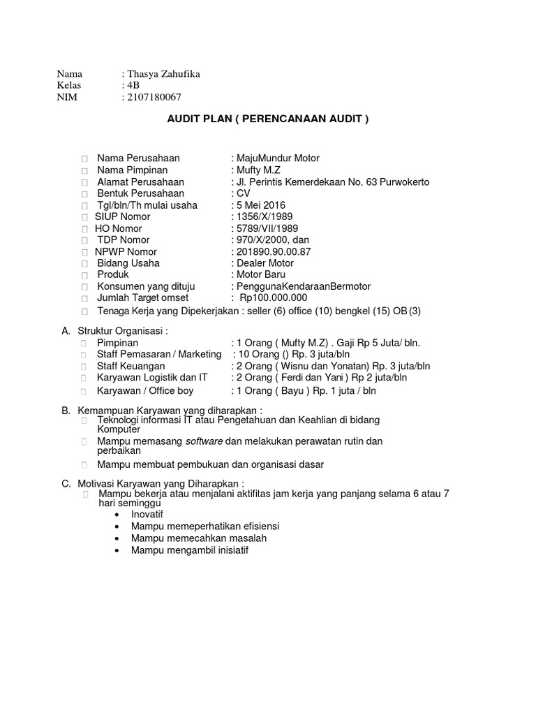 Audit Plan | PDF