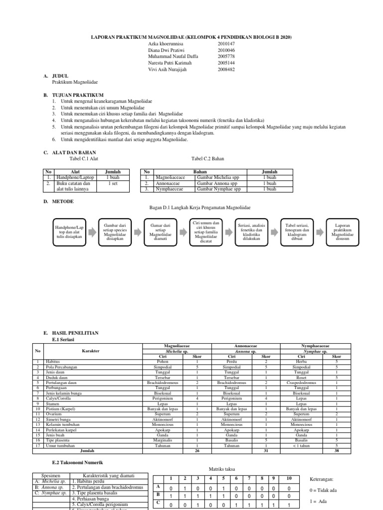 Kelompok 4B - Laporan Magnoliidae | PDF