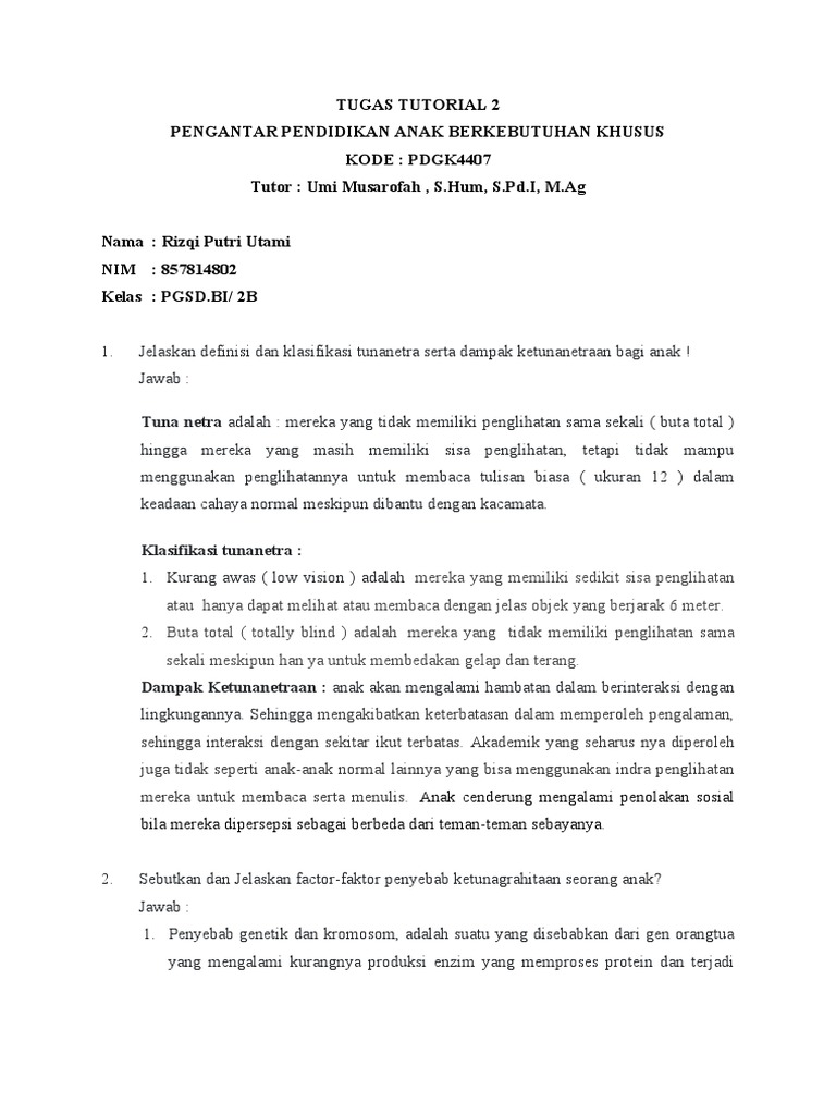 TT 2 Bu Umi Pengantar Pendidikan ABK | PDF