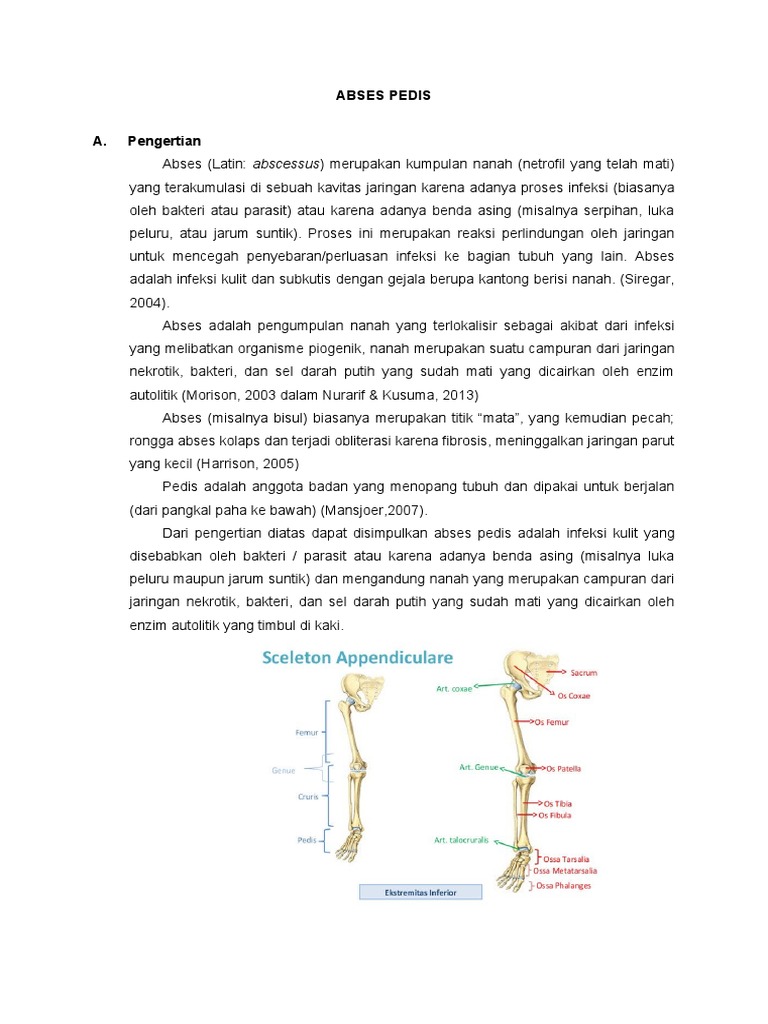 Abses Pedis: Definisi dan Penanganan | PDF | Kesehatan Holistik | Sains ...