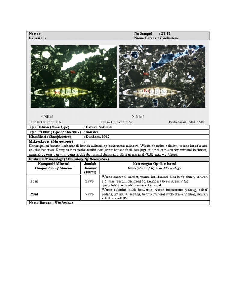 Petrografi New | PDF