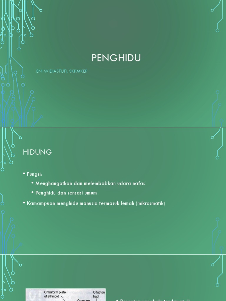 Penghidu, Pengecap, Sensasi Somatik Visera | PDF