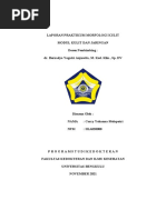 Rangkuman UKK Primer | PDF