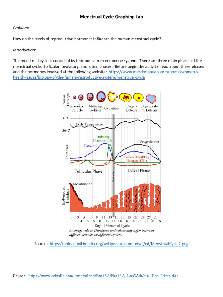 Menstrual Cycle Graphing Lab: Problem | PDF | Menstrual Cycle | Glands