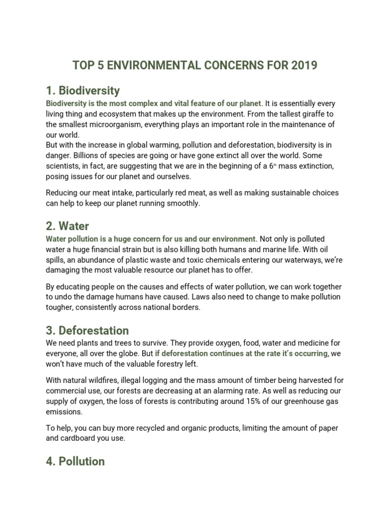Top 5 Environmental Concerns For 2019 | PDF | Climate Change | Natural ...