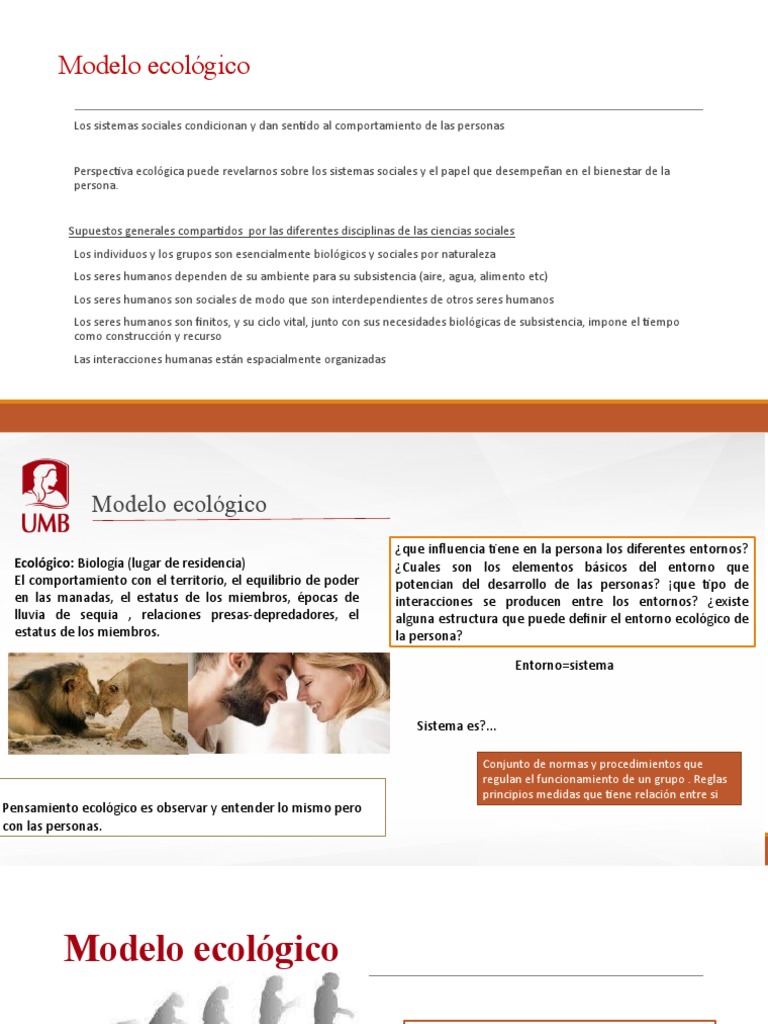 Modelo Ecológico Definción y Aplicaciónes | PDF | Comportamiento | Ecología