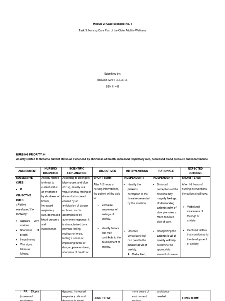 Task 3: Nursing Care Plan of The Older Adult in Wellness: Module 2 ...