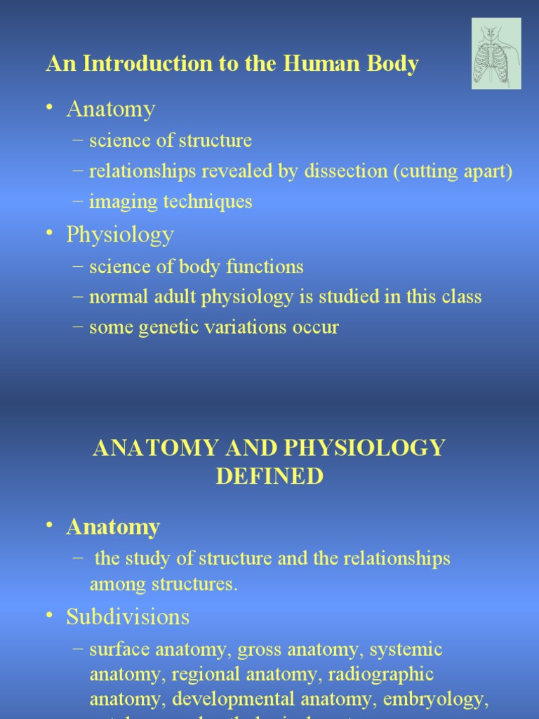 Anatomy and Physiology Overview | PDF | Anatomical Terms Of Location ...