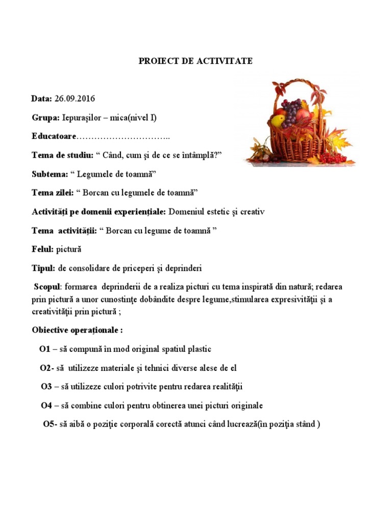 Proiect Didactic Pictura | PDF