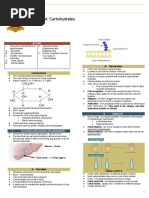 RPI and RPA Concept | PDF | Dentures | Dentistry Branches
