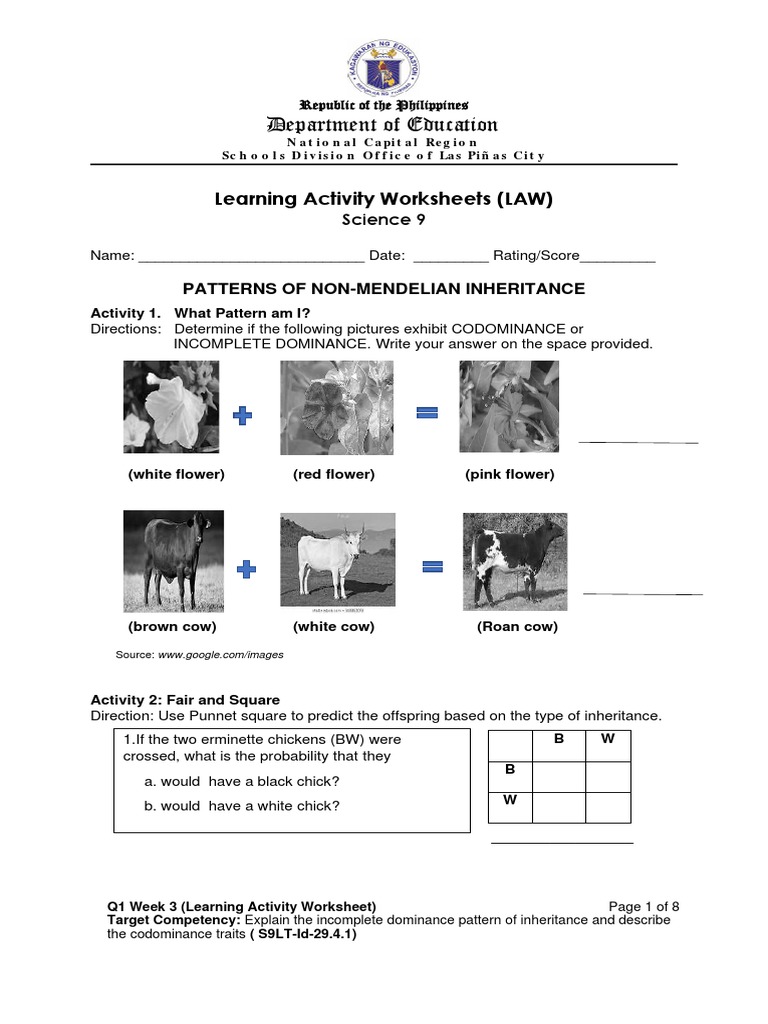 Erminette Chicken Genetics Worksheet | PDF | Genotype | Dominance ...