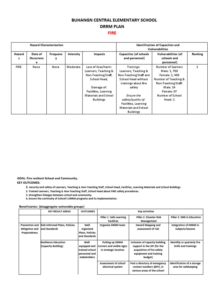 Buhangn Central Elementary School DRRM Plan: Trainings | PDF | Disaster ...