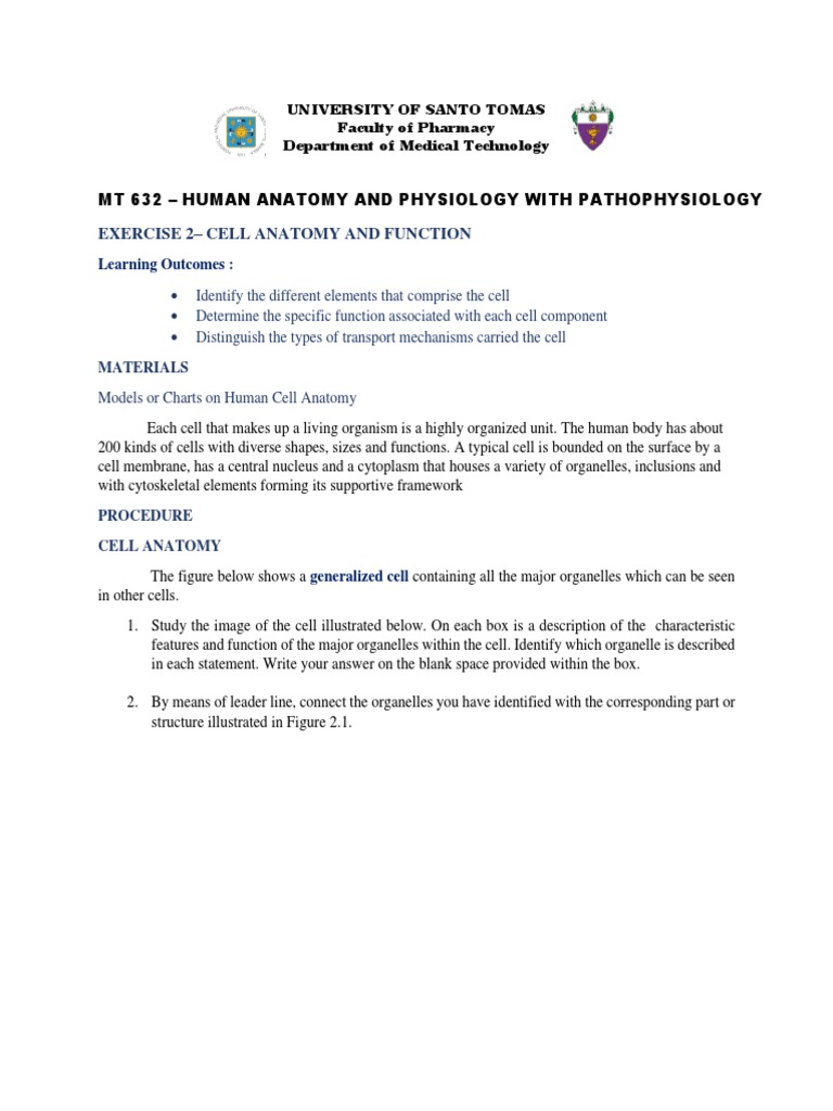 Exercises On Cell and Tissues | PDF | Cell (Biology) | Tissue (Biology)