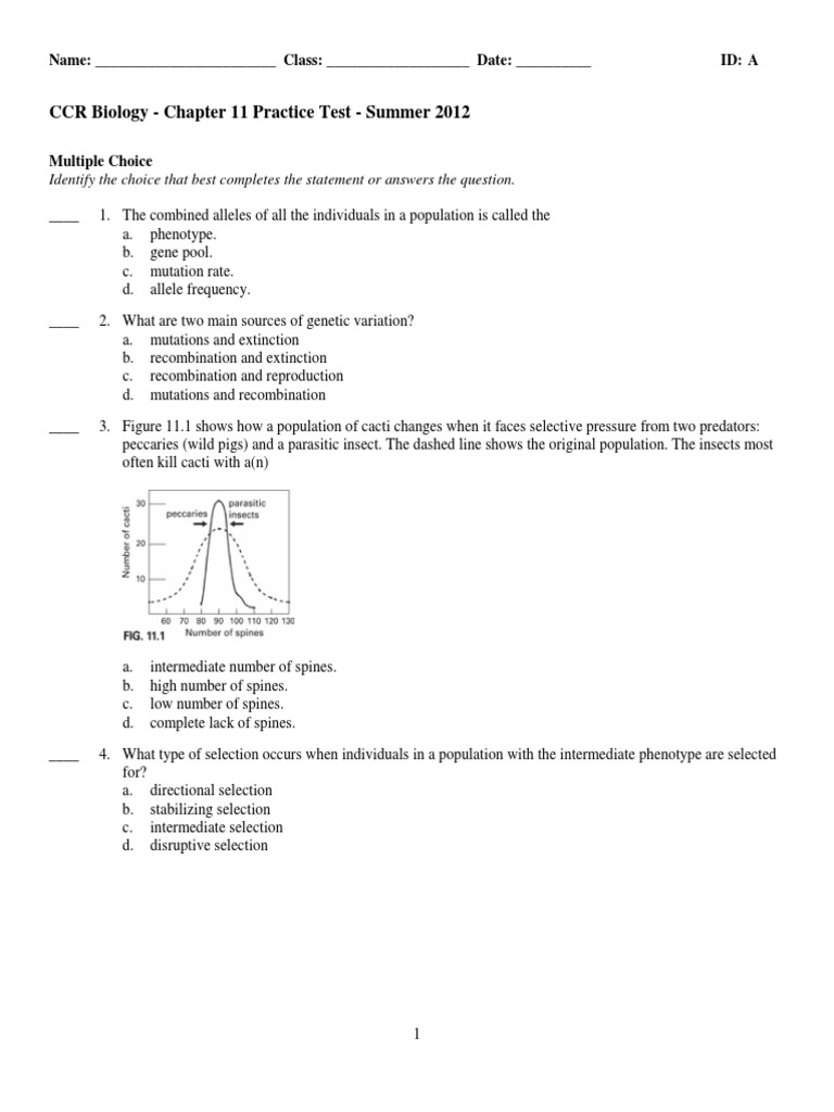 Biology Chapter 11 Test | PDF | Evolution | Natural Selection