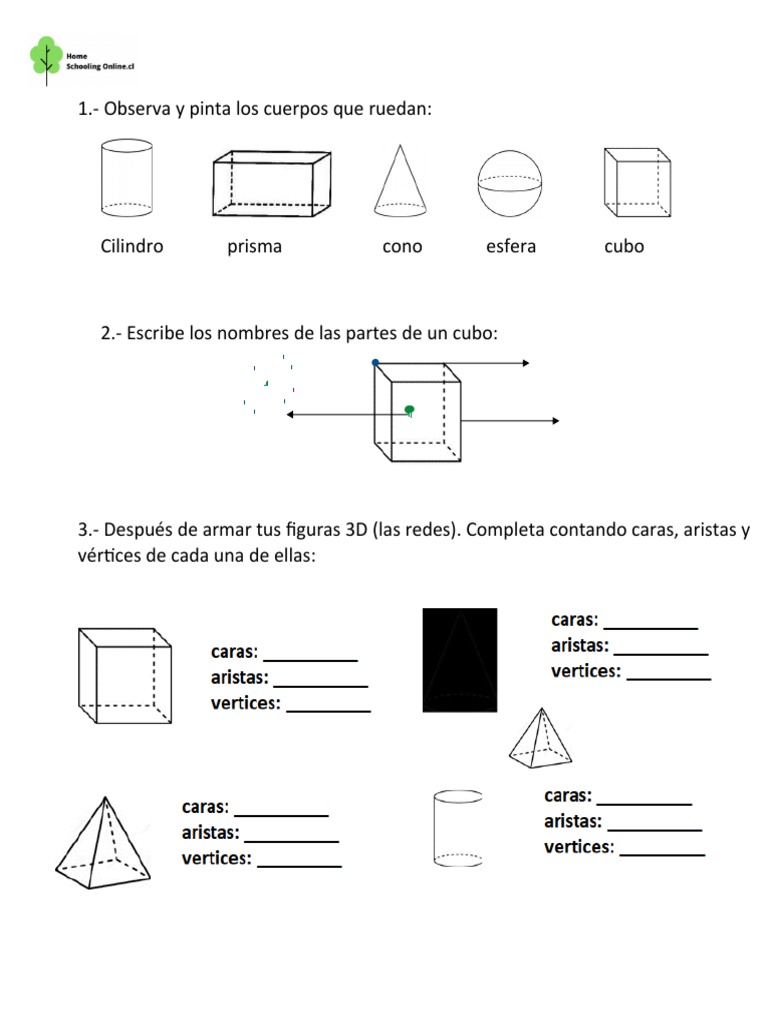 Figuras 3D Redes y Ejercicios | PDF