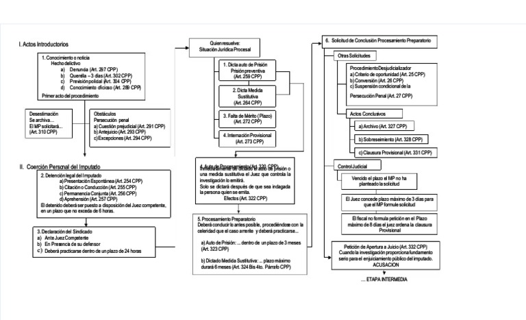 PDF Esquema Etapa Preparatoria Con Fundamento - Compress | PDF | Crímenes | Crimen y violencia