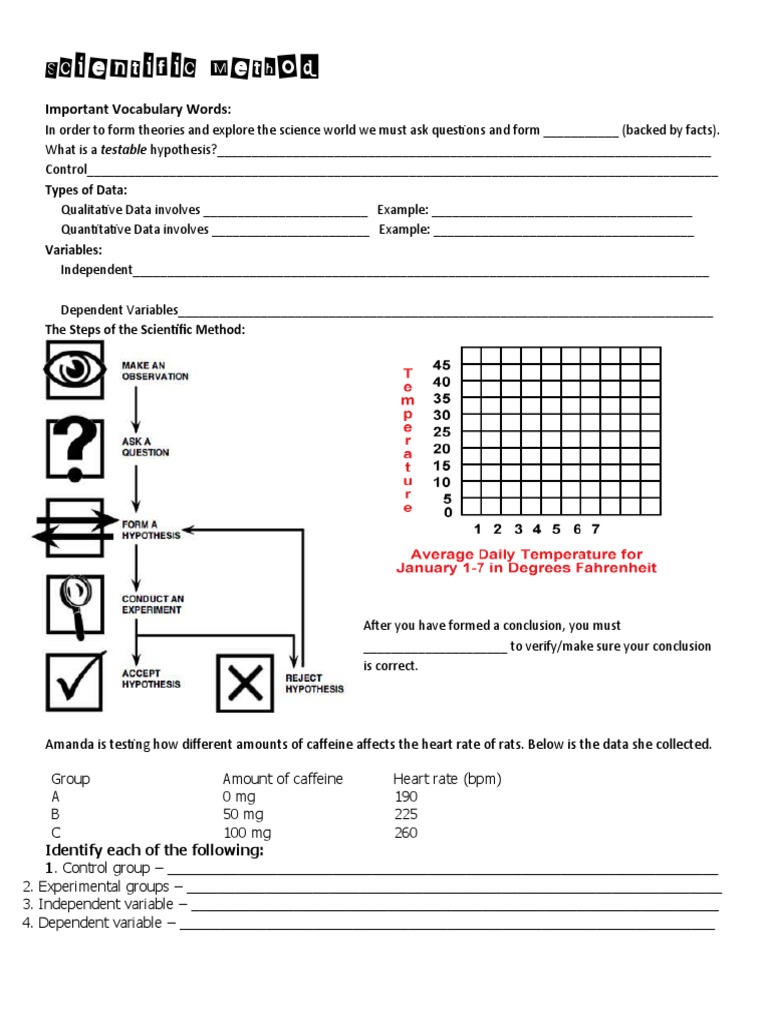 Scientific Method: Important Vocabulary Words | PDF | Experiment | Science