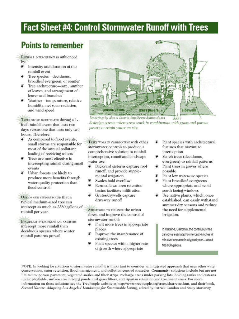 Fact Sheet #4: Control Stormwater Runoff With Trees: Points To Remember ...