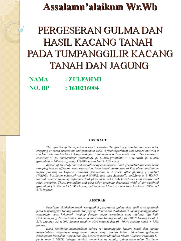 Pergeseran Gulma pada Kacang Tanah dan Jagung | PDF