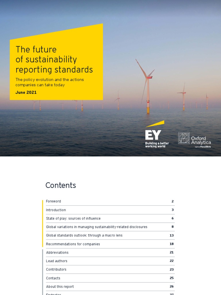 Ey The Future of Sustainability Reporting Standards 2021 | PDF ...