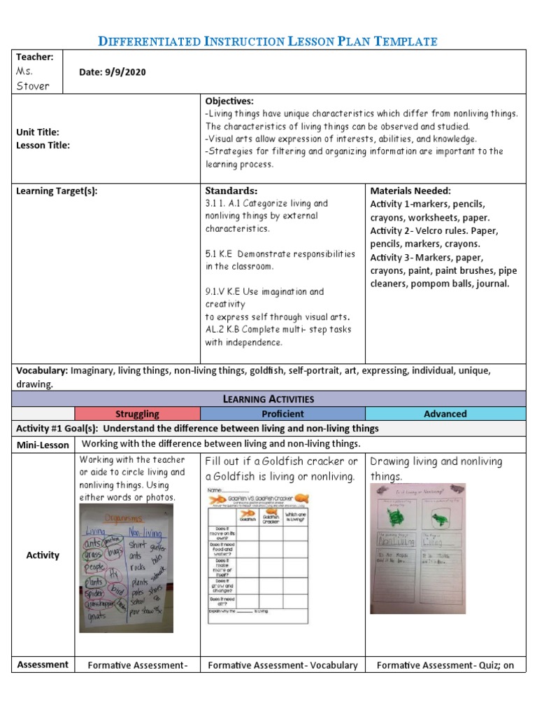 Differentiated Instruction Lesson Plan | PDF | Differentiated ...