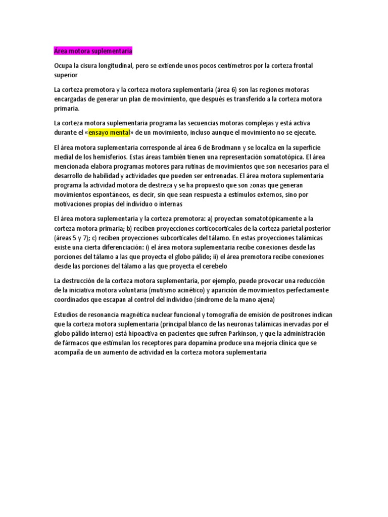 Área Motora Suplementaria: Función y Conexiones | PDF | Corteza ...