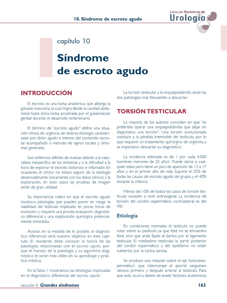Síndrome de Escroto Agudo: Diagnóstico y Manejo | PDF | Testículo ...