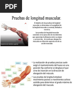 Linea de Feiss, Linea de Helbing | PDF | Pie | Anatomía humana