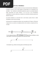 Linea de Fulcrum | PDF | Dentadura postiza | Naturaleza