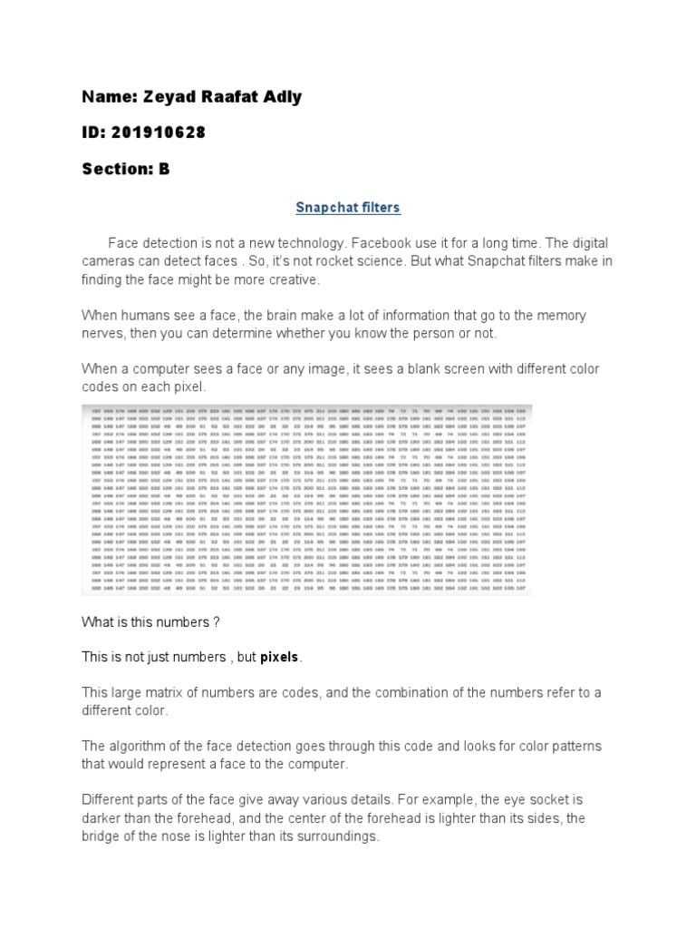 Name: Zeyad Raafat Adly ID: 201910628 Section: B: Snapchat Filters ...