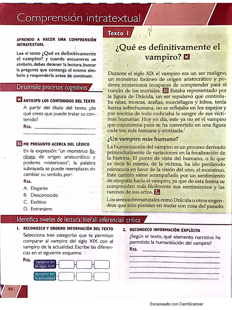 Que Es Un Murciélago, Undécimo | PDF