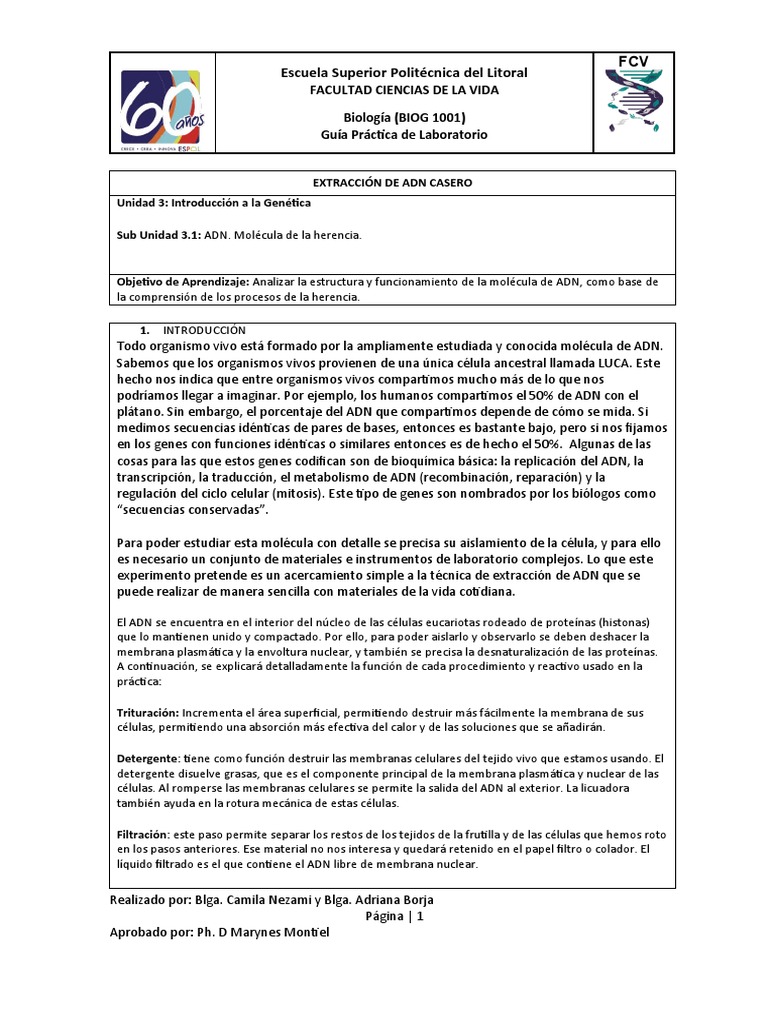 Practica 6 Guía Extracción de ADN | PDF | Adn | Gene