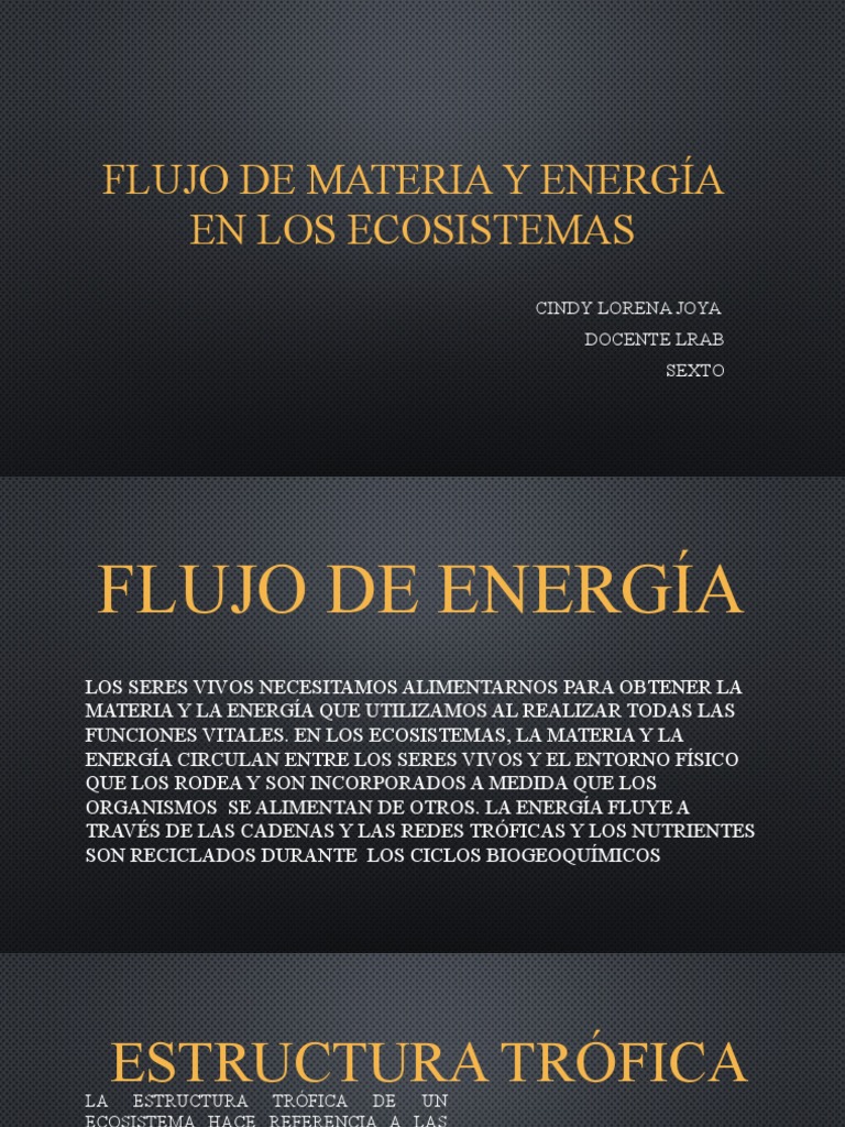 Flujo de Materia y Energia en Los Ecosistemas | PDF | Red alimentaria | Entorno natural