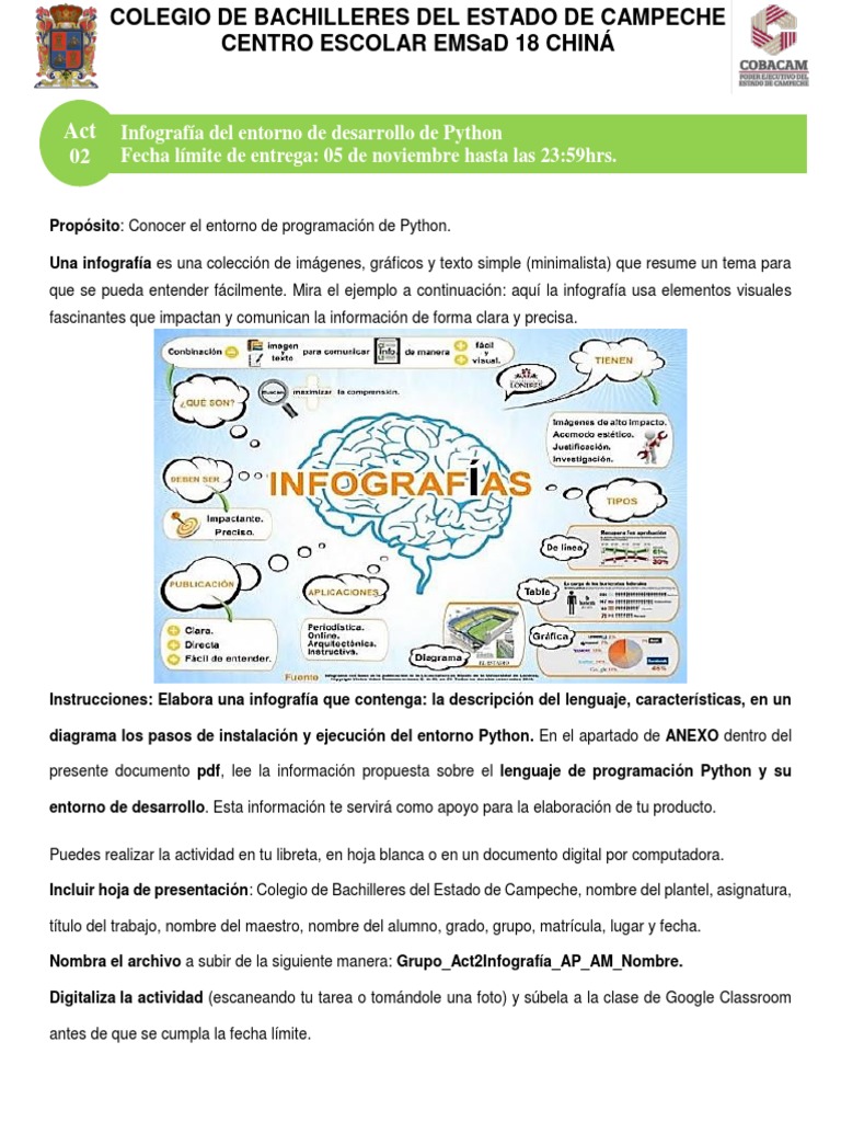 Actividad 02. - Infografía | PDF | Programación de computadoras ...