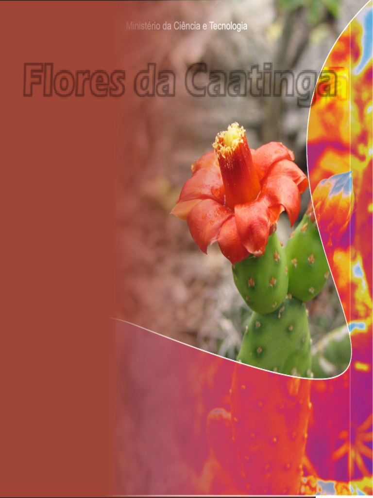 Flores Da Caatinga - Caatinga Flowers | PDF | Plantas | Morfologia vegetal