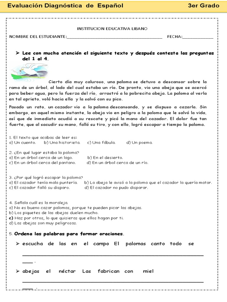 Prueba Diagnostica Español Grado Tercero 2019 | PDF
