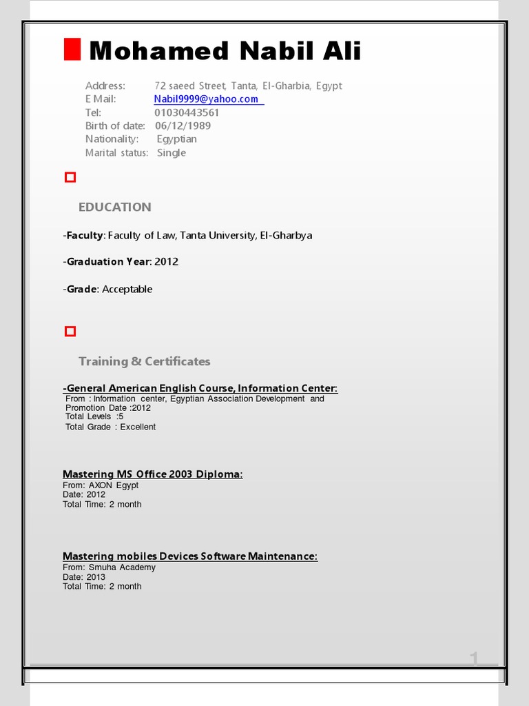 Mohamed Nabil Ali: Education | PDF