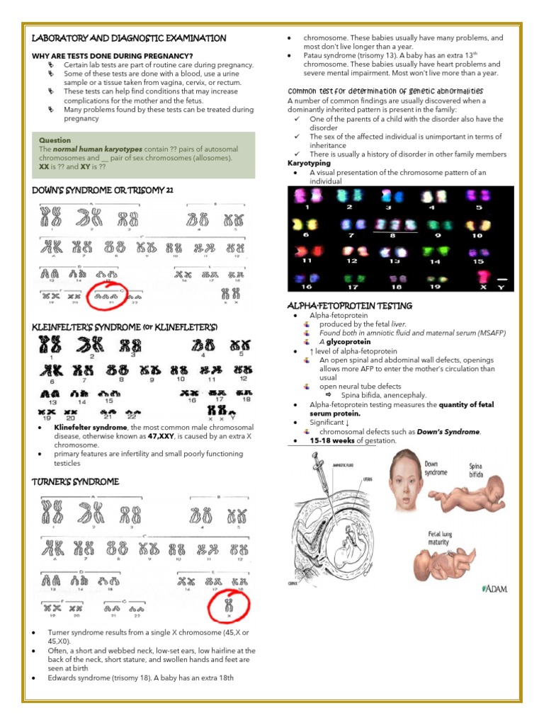 Pregnancy Laboratory Tests Overview | PDF | White Blood Cell | Pregnancy