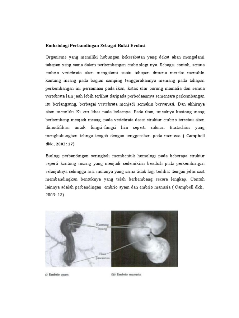 Embriologi Perbandingan | PDF