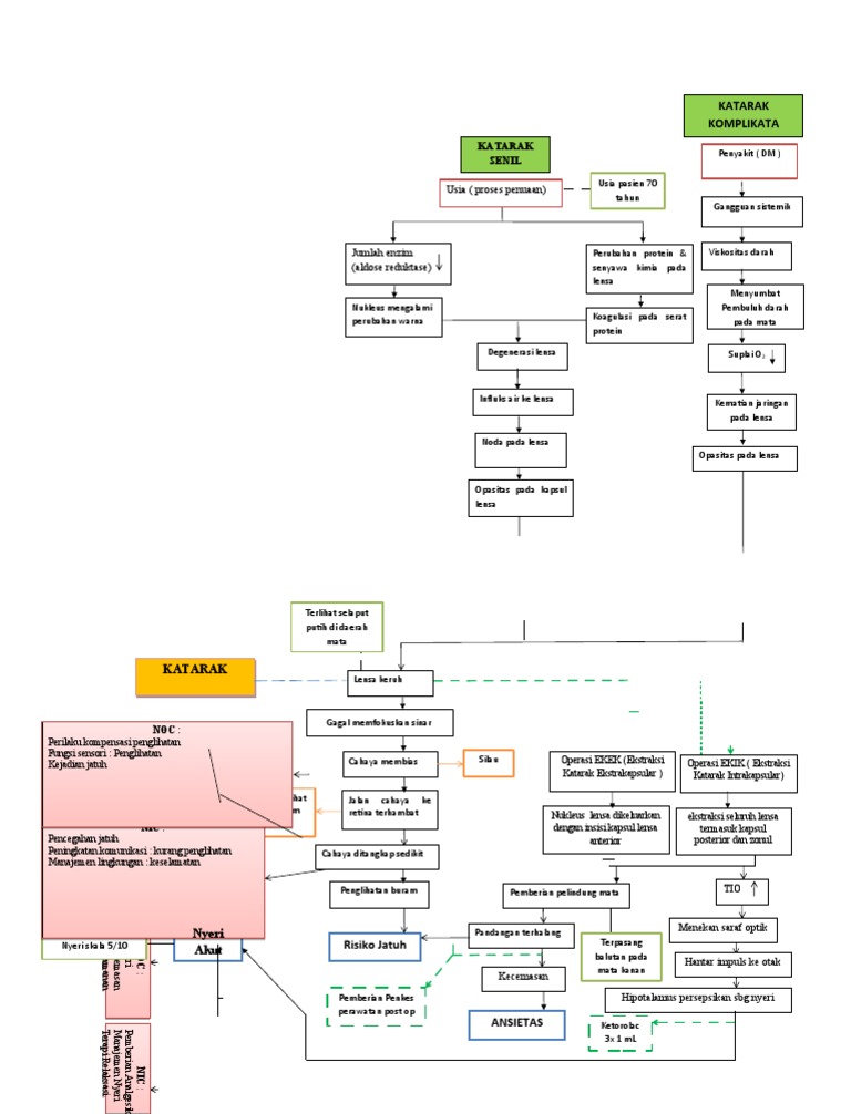 Pathway Khusus Katarak Rev | PDF