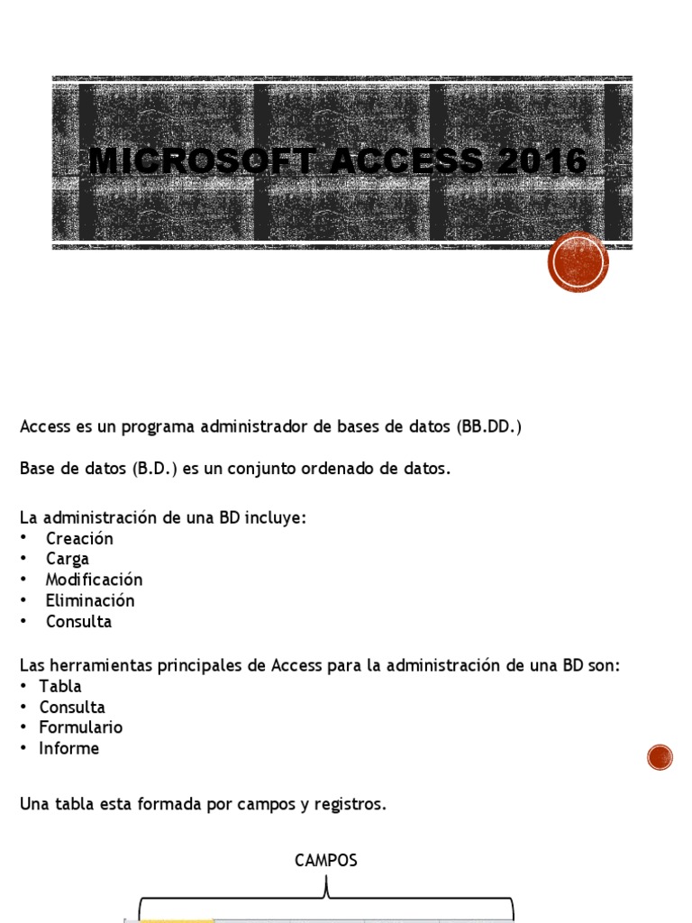 Teoría Access 2016 | PDF
