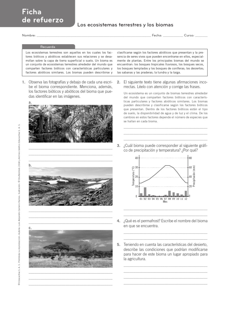 Taller Biomas Terrestres | PDF | Ecosistema | Suelo