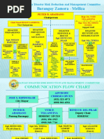 BDRRMC Structure | PDF | Security | Prevention