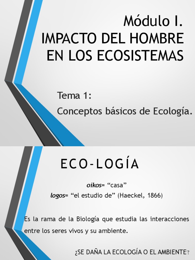 Conceptos Básicos de Ecología y Medio Ambiente (Diapositivas) | PDF | Ecología | Ecosistema